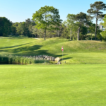 8 Best Public Golf Courses on Cape Cod to Play This Season