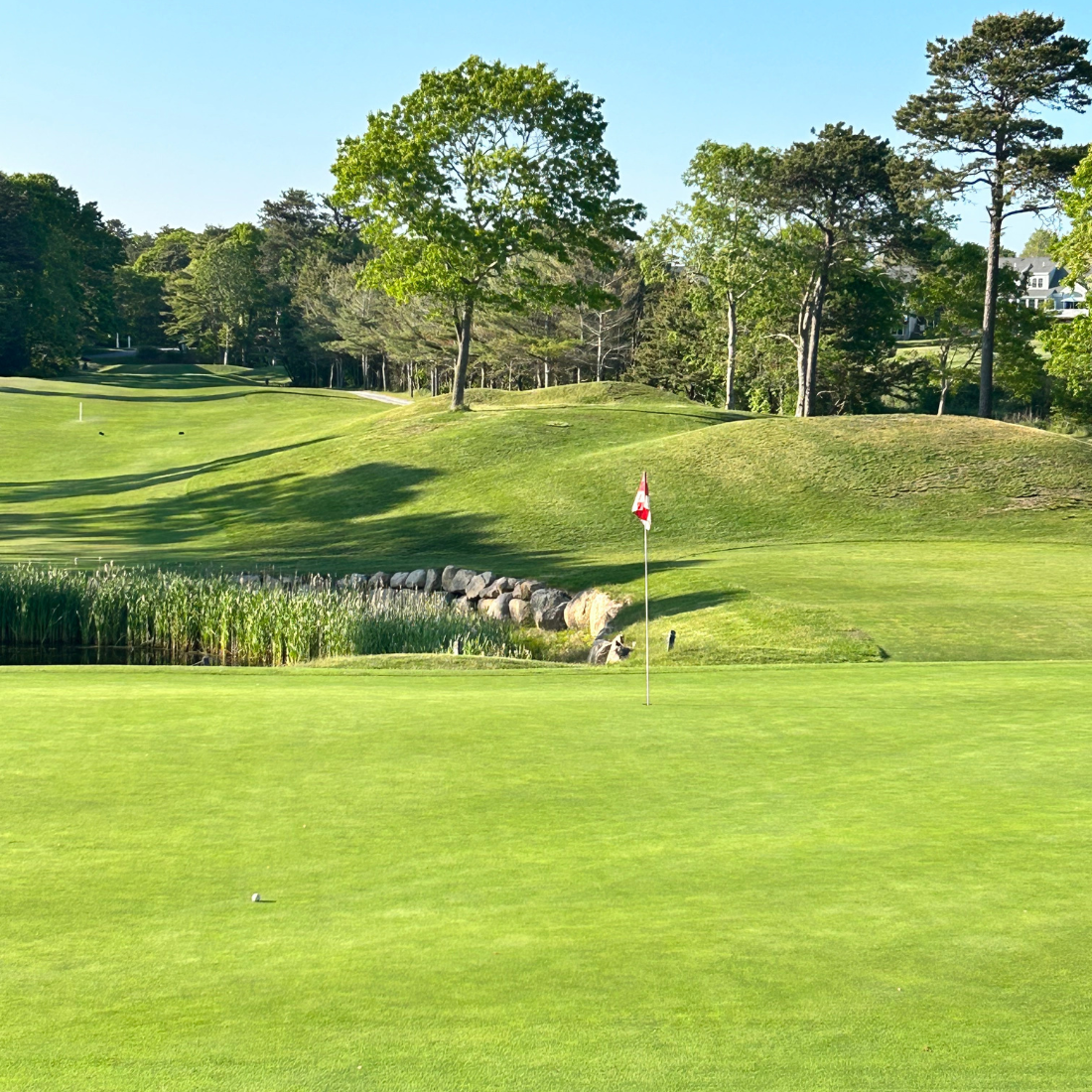 8 Best Public Golf Courses on Cape Cod to Play This Season